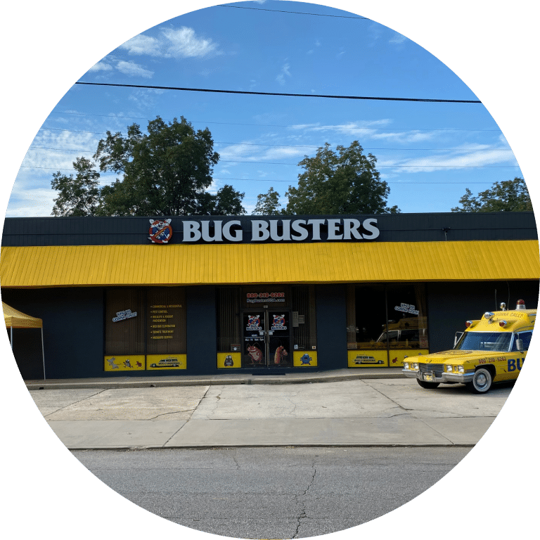 Locations - Bug Busters USA | Pest, Wildlife & Termite Control Experts