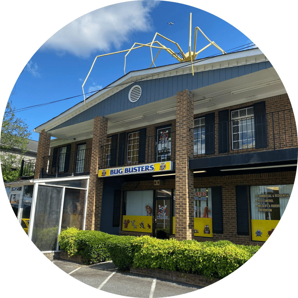 Locations - Bug Busters USA | Pest, Wildlife & Termite Control Experts