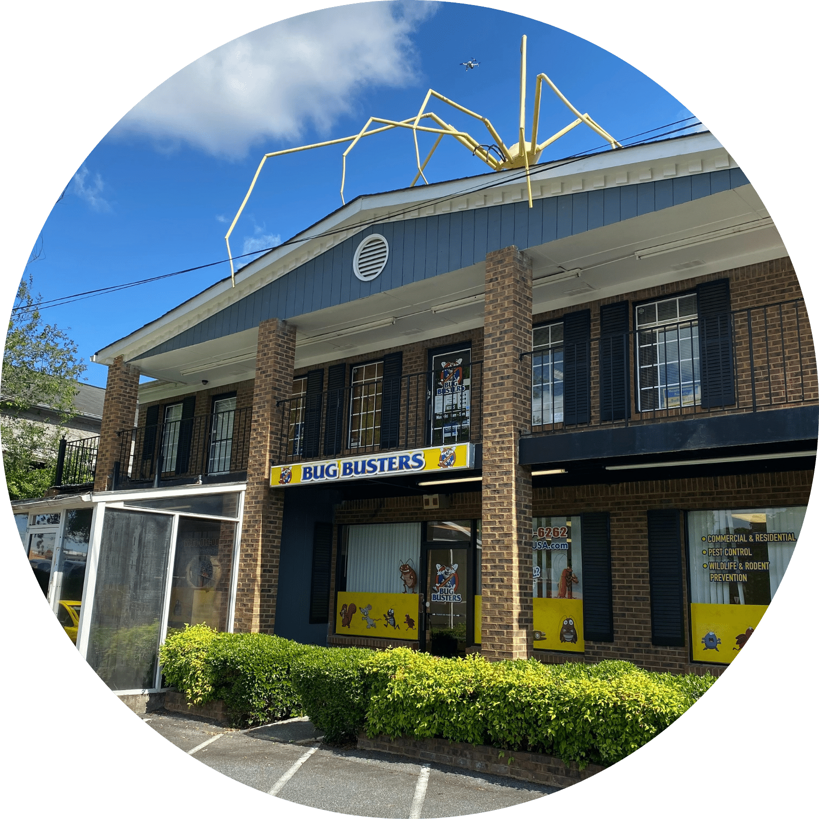 Locations - Bug Busters USA | Pest, Wildlife & Termite Control Experts