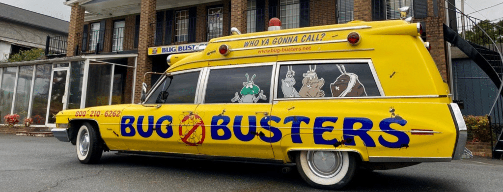 What To Look For In A Pest Control Company in Georgia - Bug Busters USA