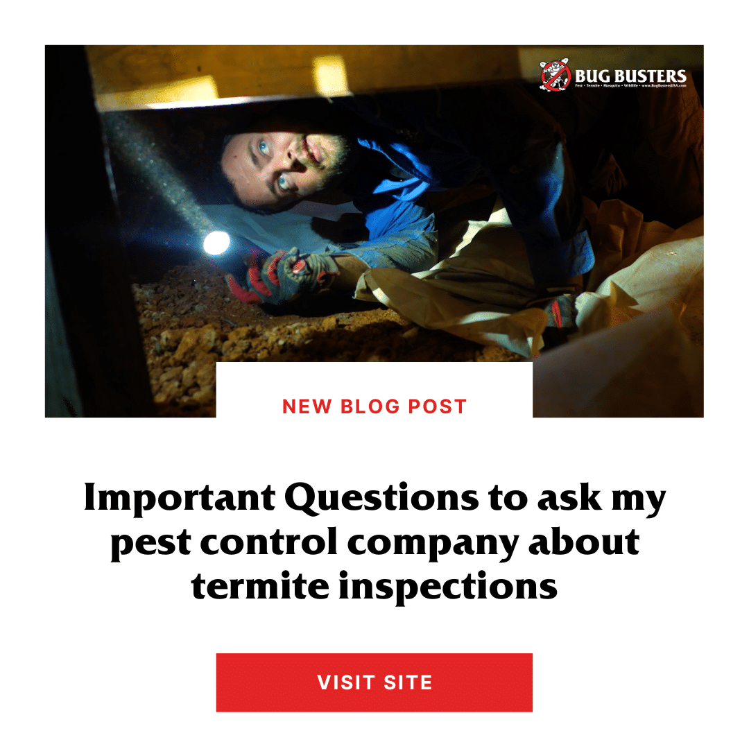 Important Questions to ask my pest control company about termite ...
