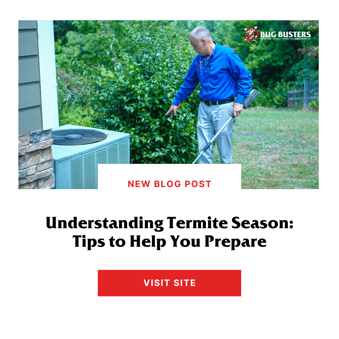Understanding Termite Season: Tips to Help You Prepare - Bug Busters USA