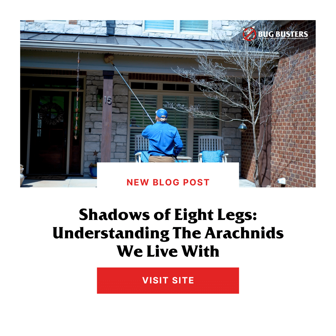 Shadows of Eight Legs: Understanding The Arachnids We Live With - Bug ...
