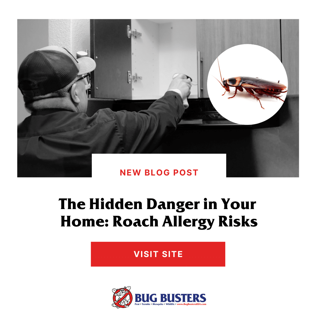 The Hidden Danger in Your Home: Roach Allergy Risks - Bug Busters USA