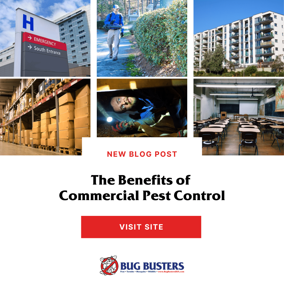 The Benefits of Commercial Pest Control - Bug Busters USA