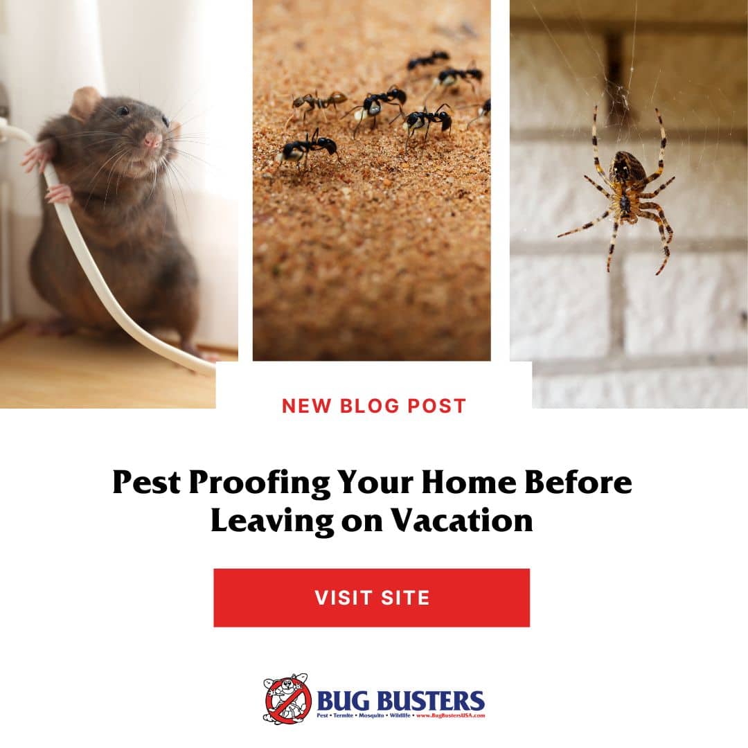 Pest Proofing Your Home Before Leaving on Vacation - Bug Busters USA