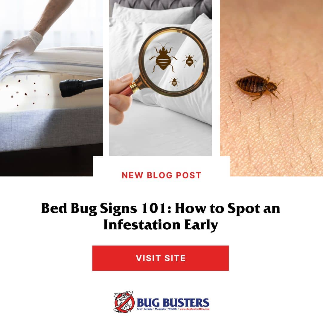 Bed Bug Signs 101: How to Spot an Infestation Early - Bug Busters USA