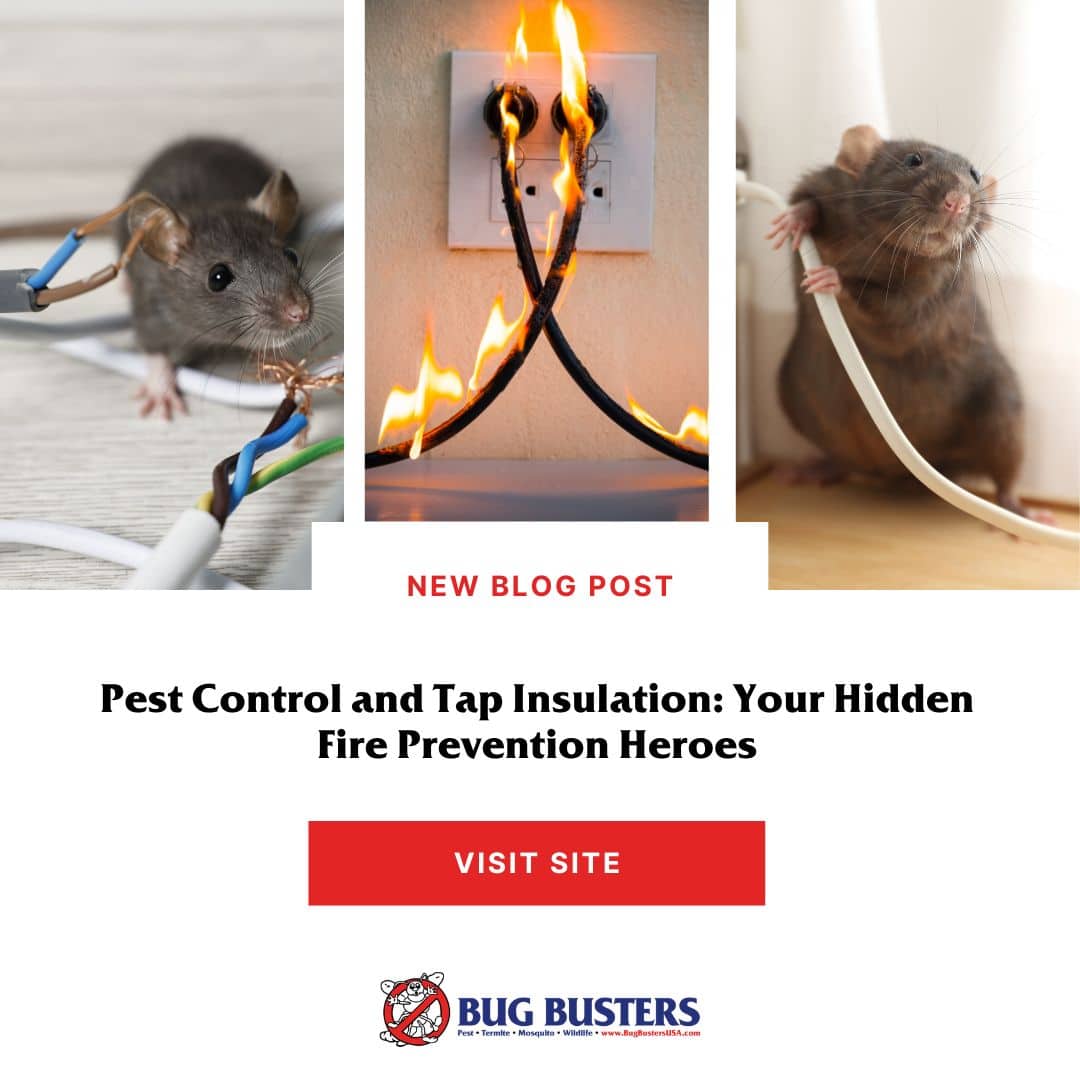 Pest Control and Tap Insulation: Your Hidden Fire Prevention Heroes ...